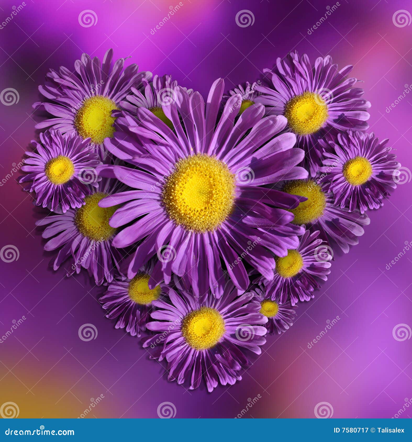 Coeur de violette de fleur image stock. Image du sensation - 7580717