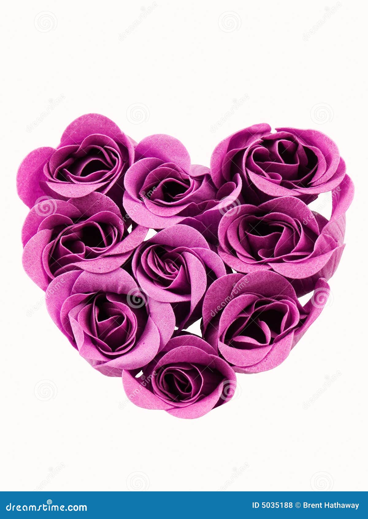 Coeur des roses photo stock. Image du forme, agencement - 5035188