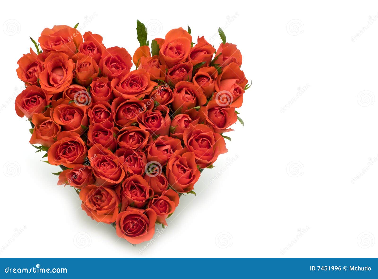 Coeur des roses photo stock. Image du rose, blanc, célébrez - 7451996