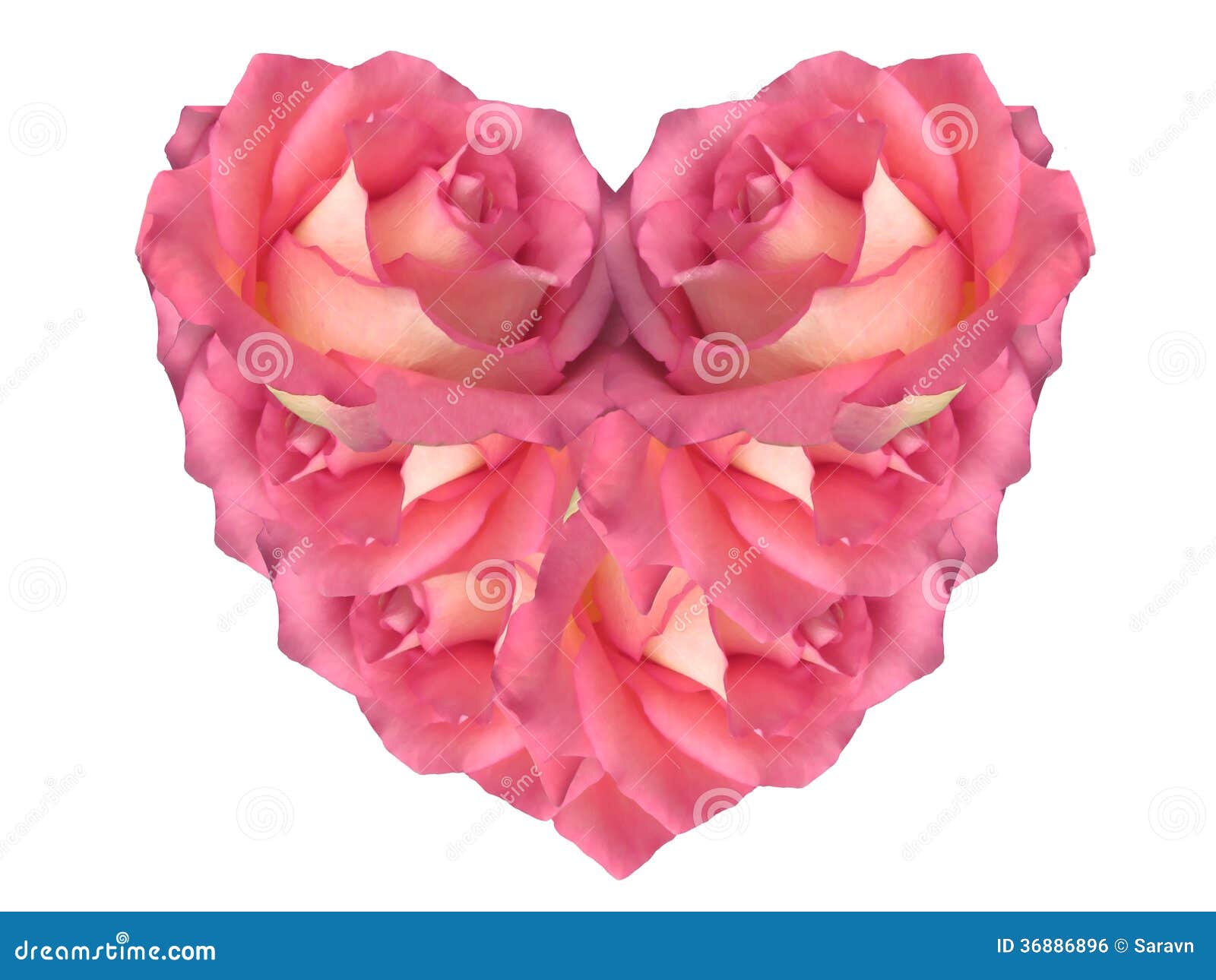 Coeur rose fait de roses photo stock. Image du forme - 36886896
