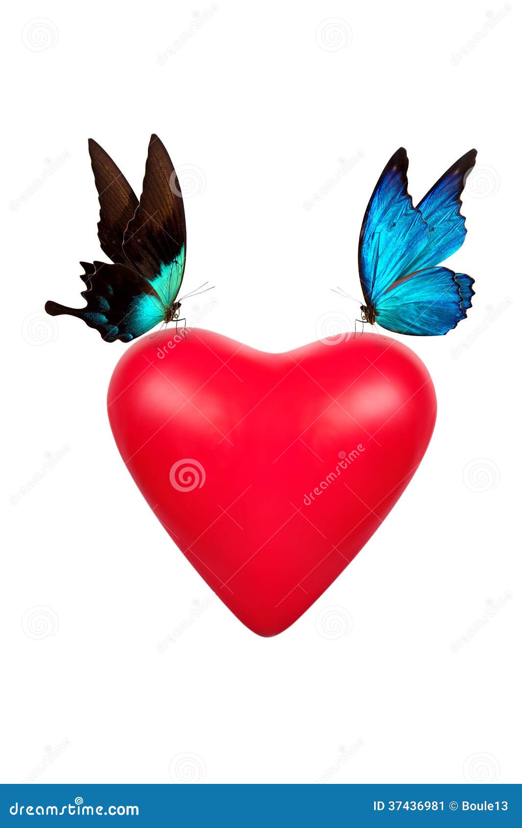 Coeur Rouge De Valentine Avec Le Papillon Image stock - Image du chéri ...