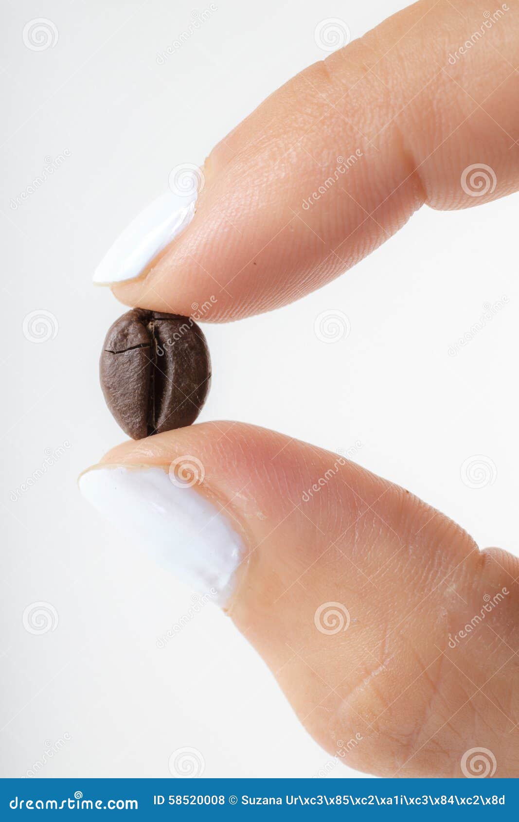 Cofee Bean Inside the Fingers Stock Photo - Image of pause, business ...
