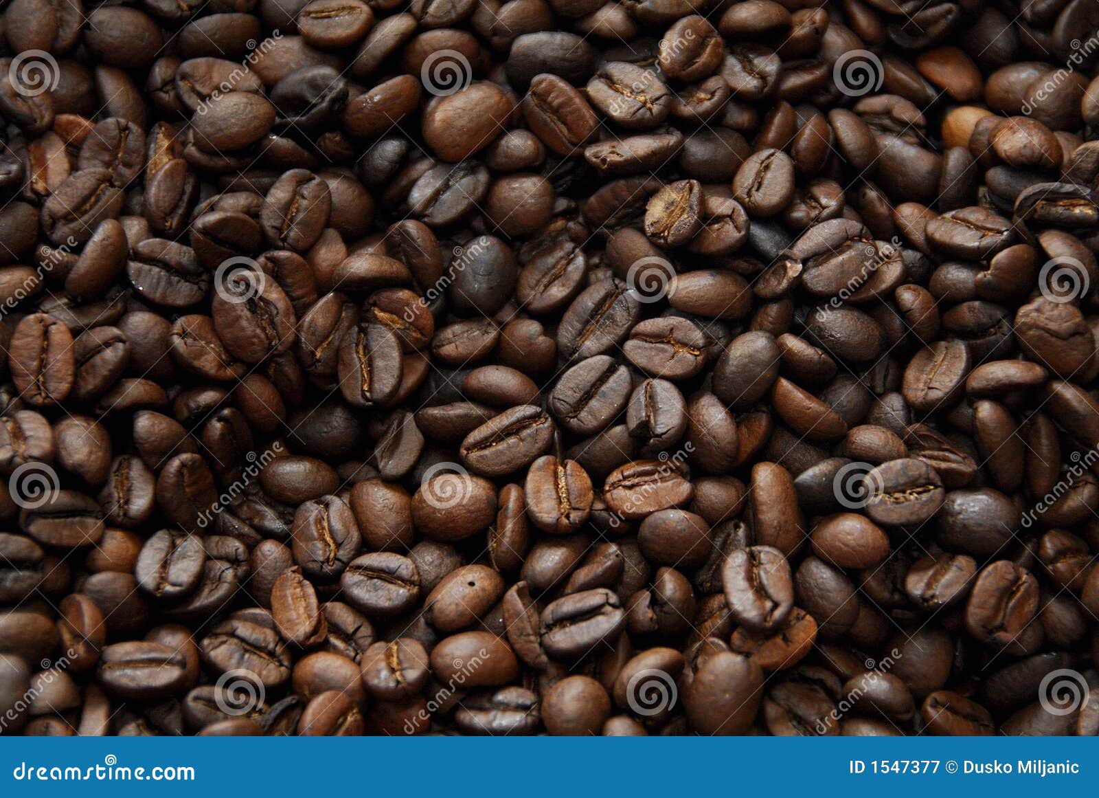 Cofee beans 2 stock image. Image of coffee, pattern, espresso - 1547377