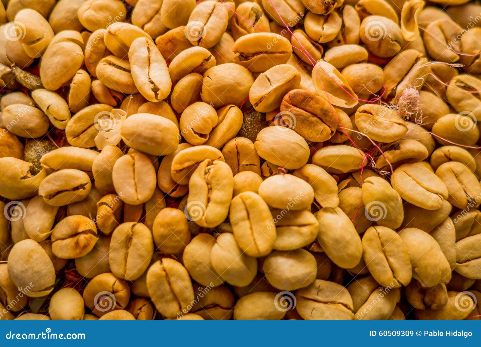 Cofee beans closeup stock image. Image of beans, freshness - 60509309