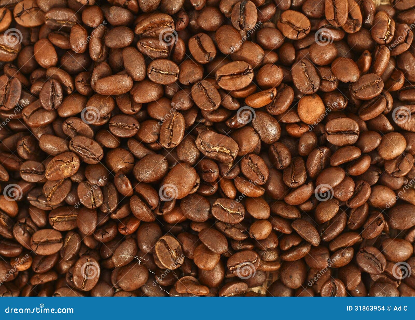 Cofee beans stock photo. Image of brew, java, boost, drink - 31863954