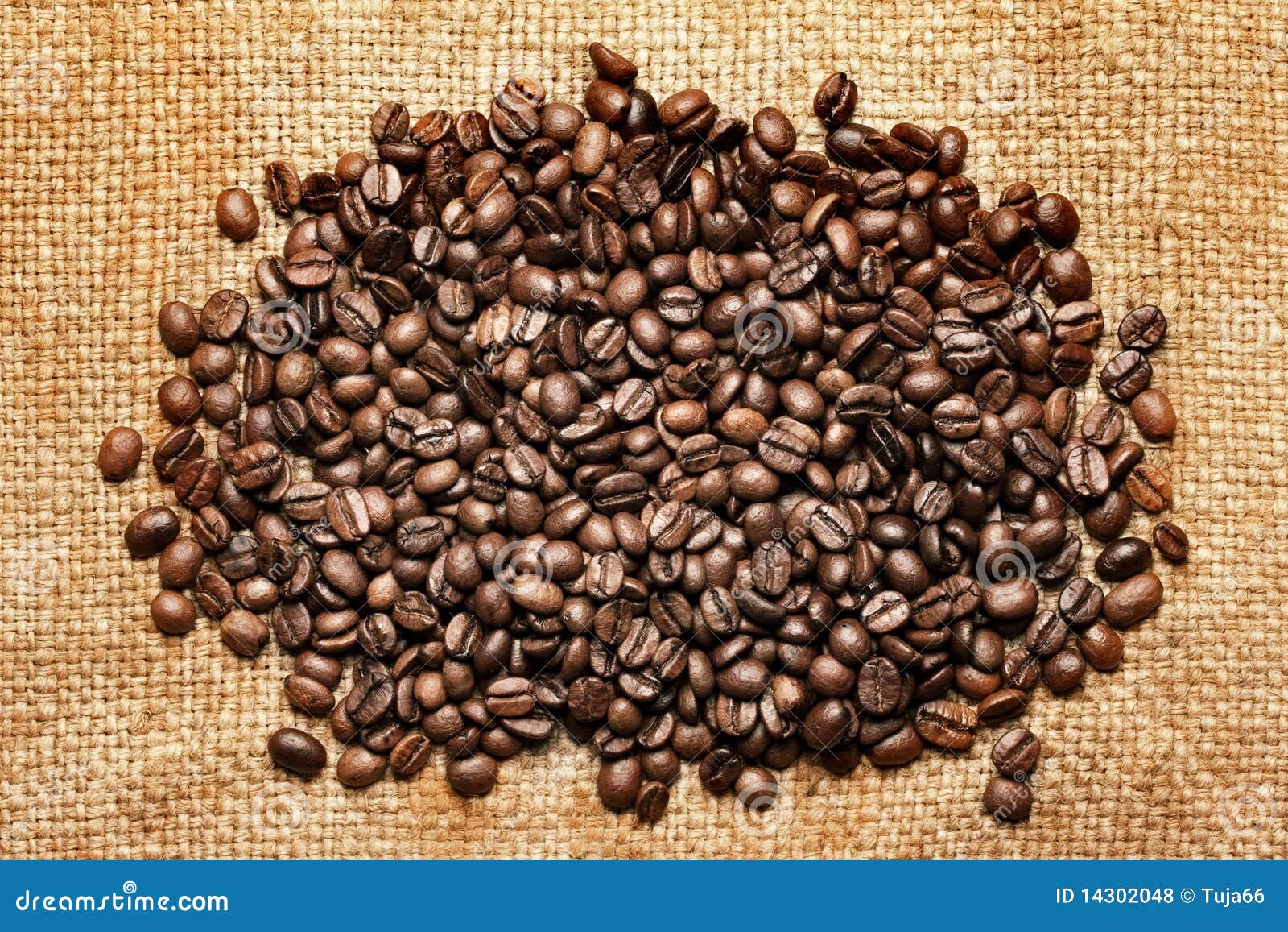 Coffe background stock photo. Image of bean, cloth, background - 14302048