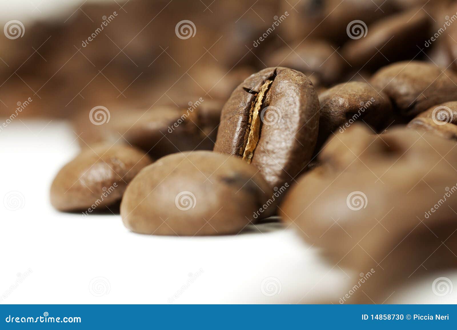Coffe bean stock photo. Image of morning, espresso, space - 14858730