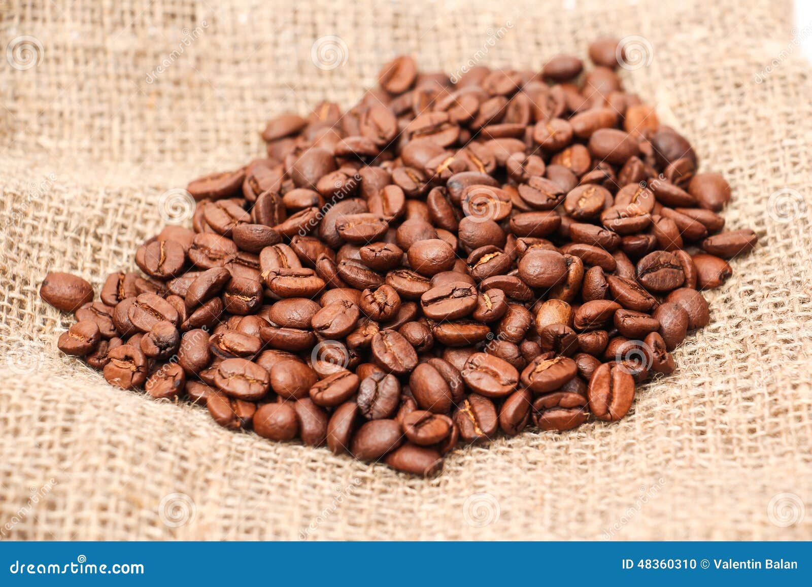 Coffe beans stock photo. Image of boost, natural, aromatic - 48360310