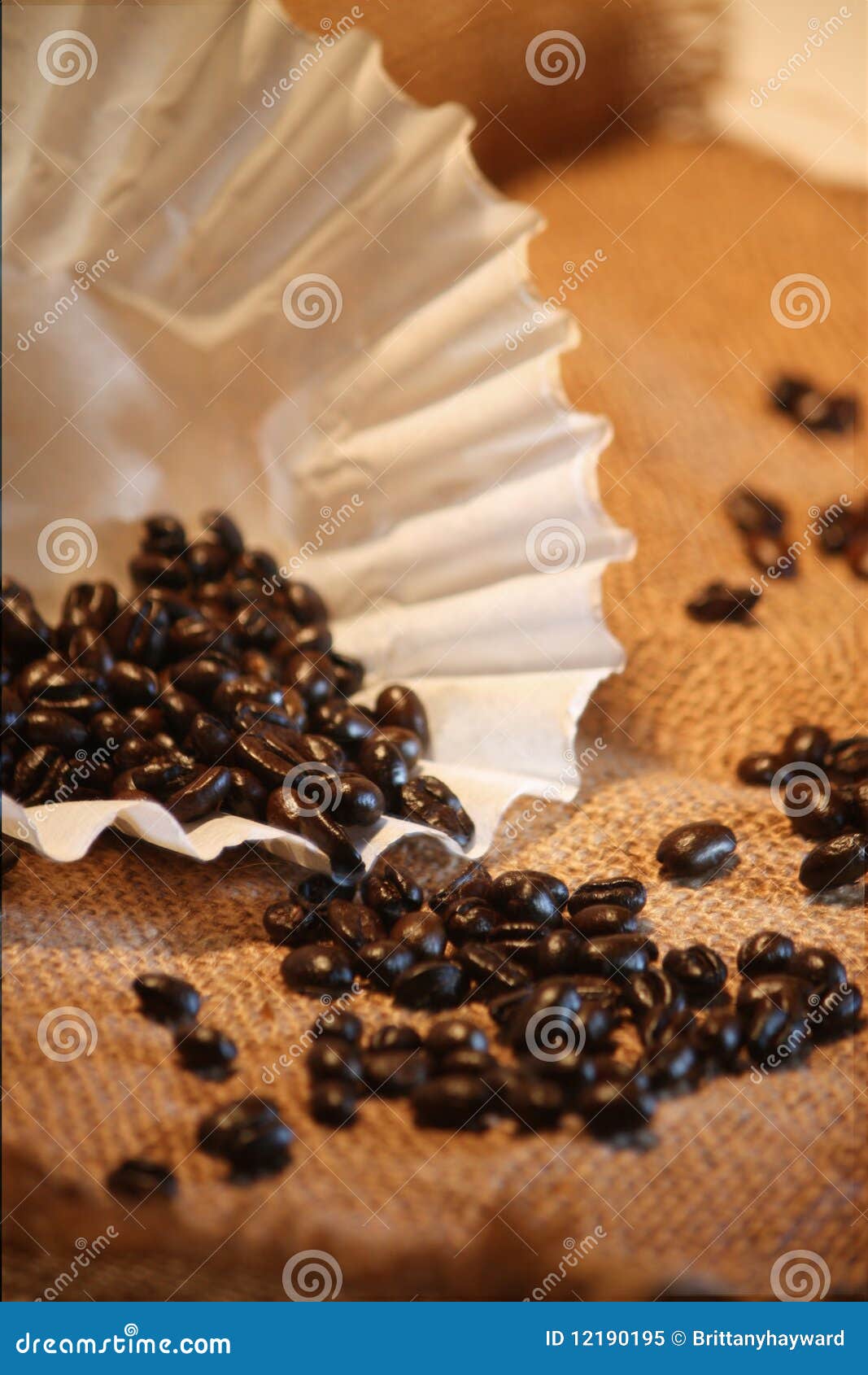 Coffe Beans and Filter on Burlap. Stock Image - Image of work, seed ...