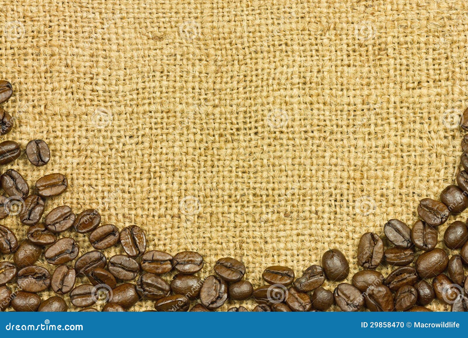 Coffe seeds on cloth sack stock photo. Image of closeup - 29858470