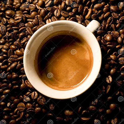 Coffe1 stock photo. Image of coffeshop, sugar, coffecup - 1560260