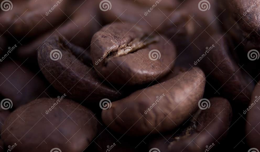 Coffee stock photo. Image of huddle, croud, crowd, coffee - 11308168