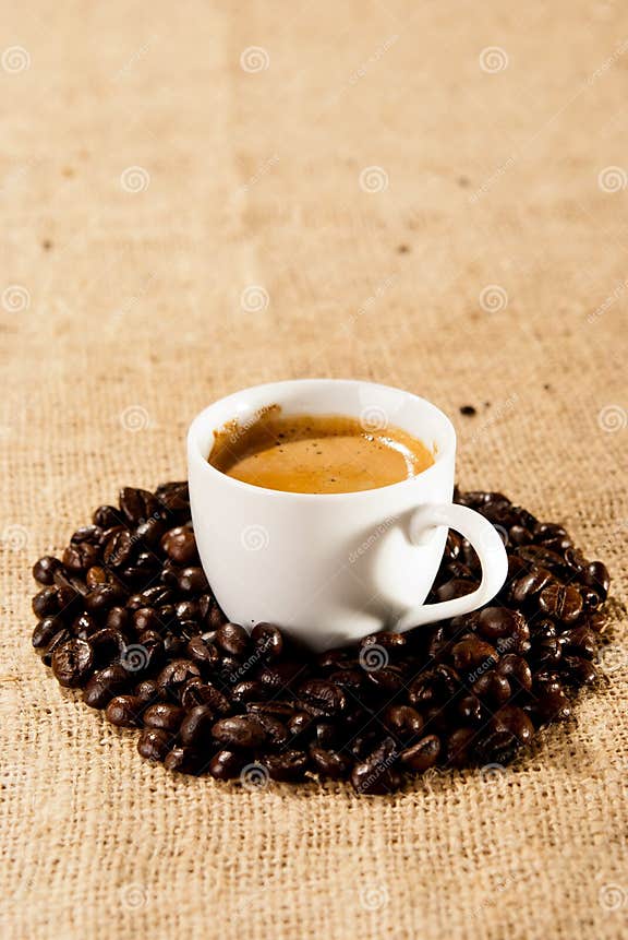 Coffee stock image. Image of light, close, contrast, macro - 25701573