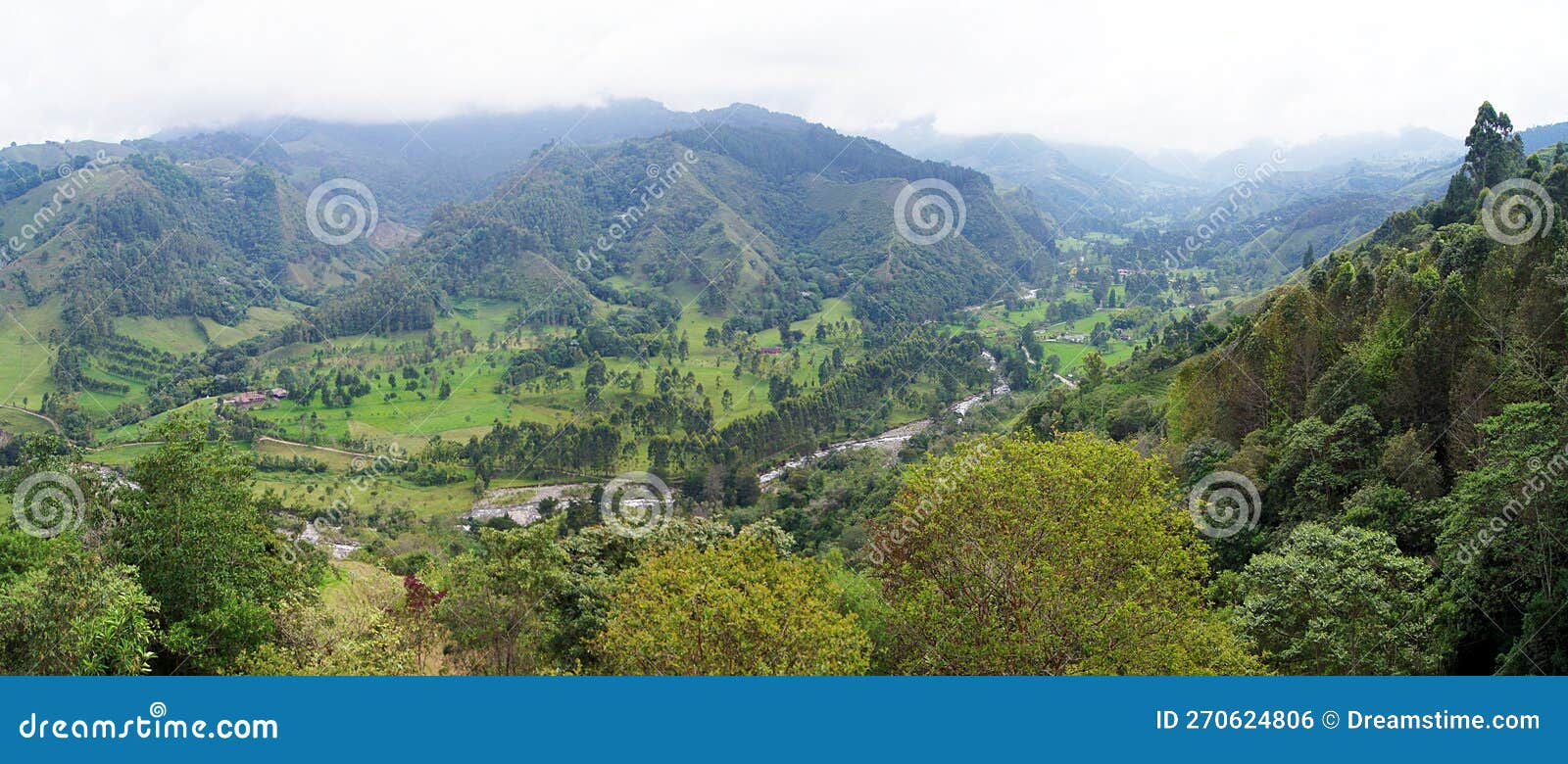 The Coffee Axis, Caldas, Quind O and Risaralda, Colombia Stock Photo ...