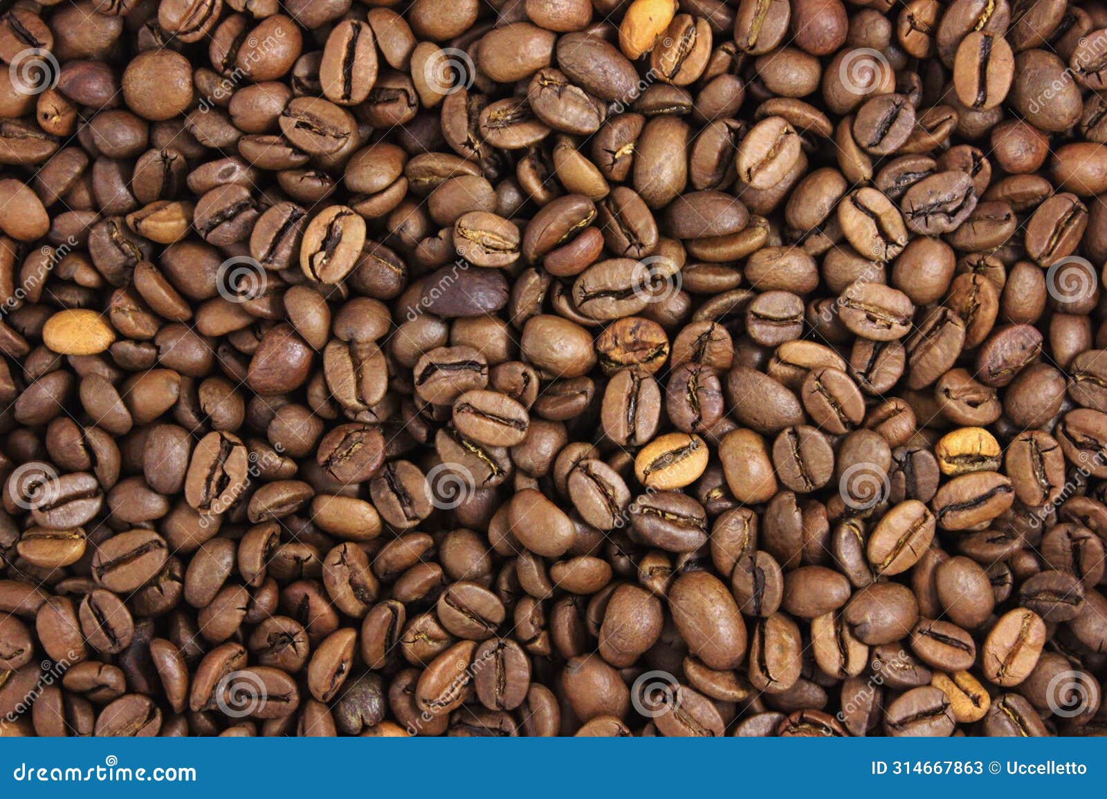 Coffee beams pattern. stock image. Image of kitchen - 314667863