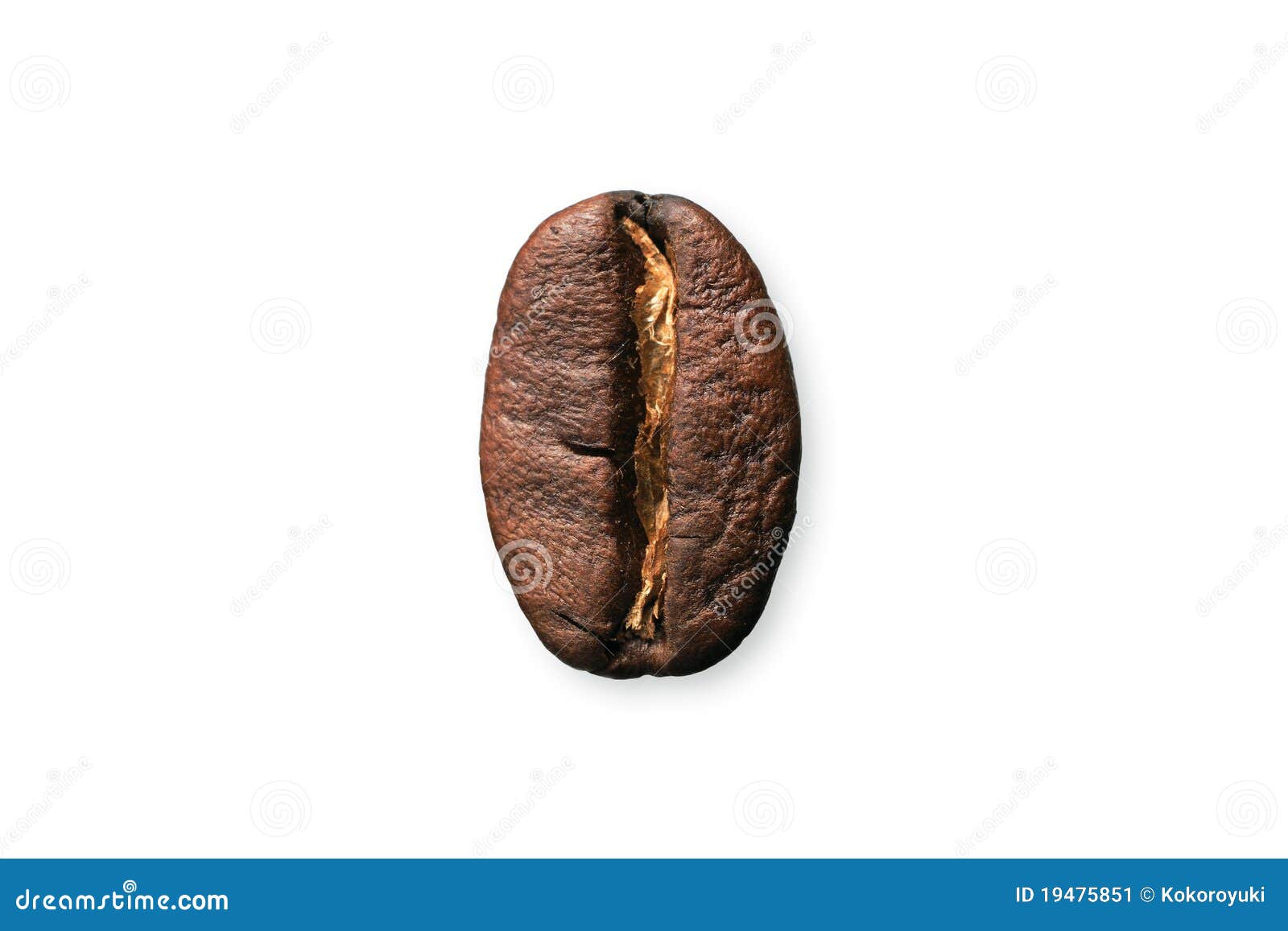 Coffee bean stock image. Image of aromatic, ellipse, background - 19475851