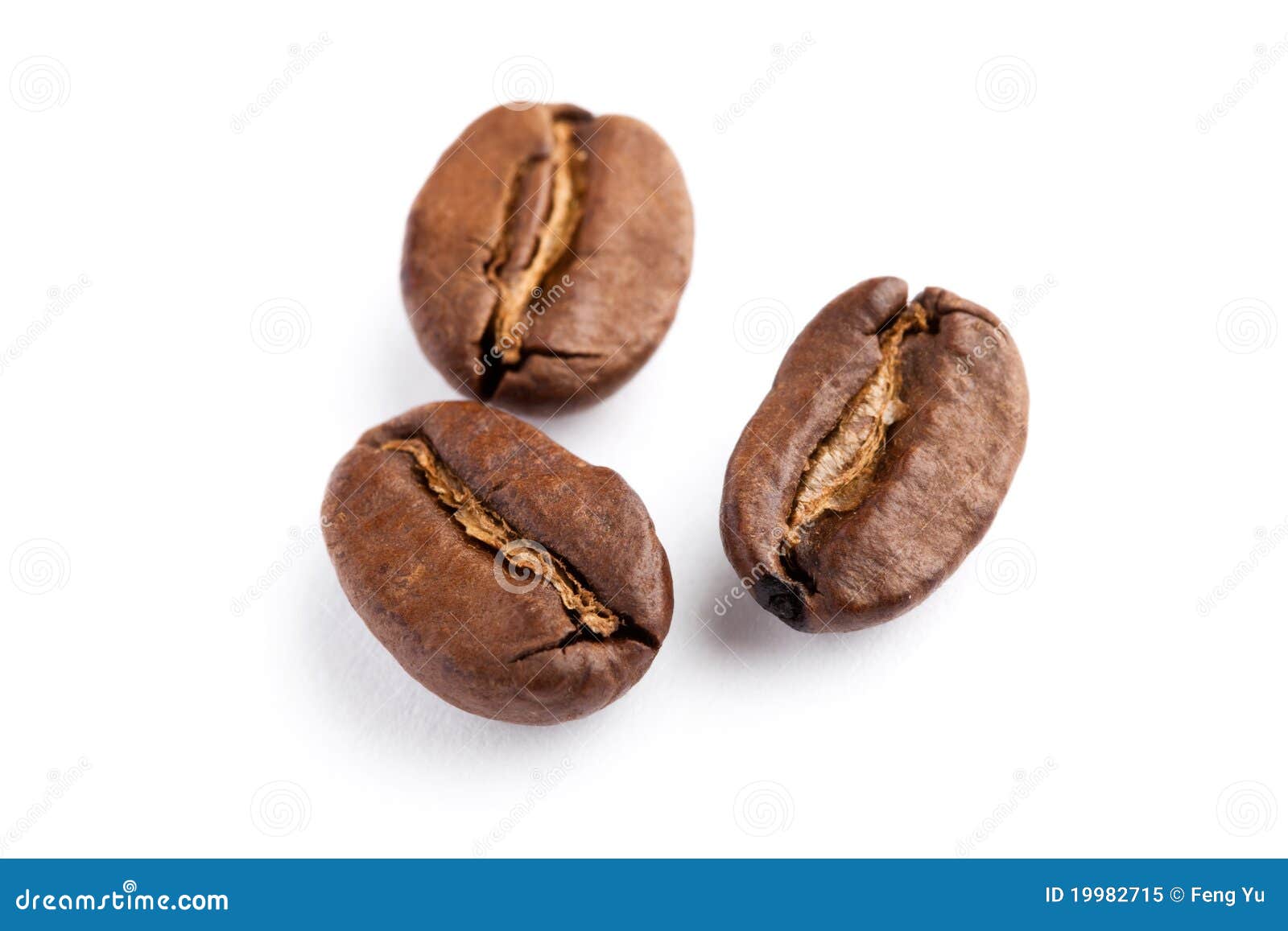 Coffee Bean stock image. Image of close, beans, white - 19982715