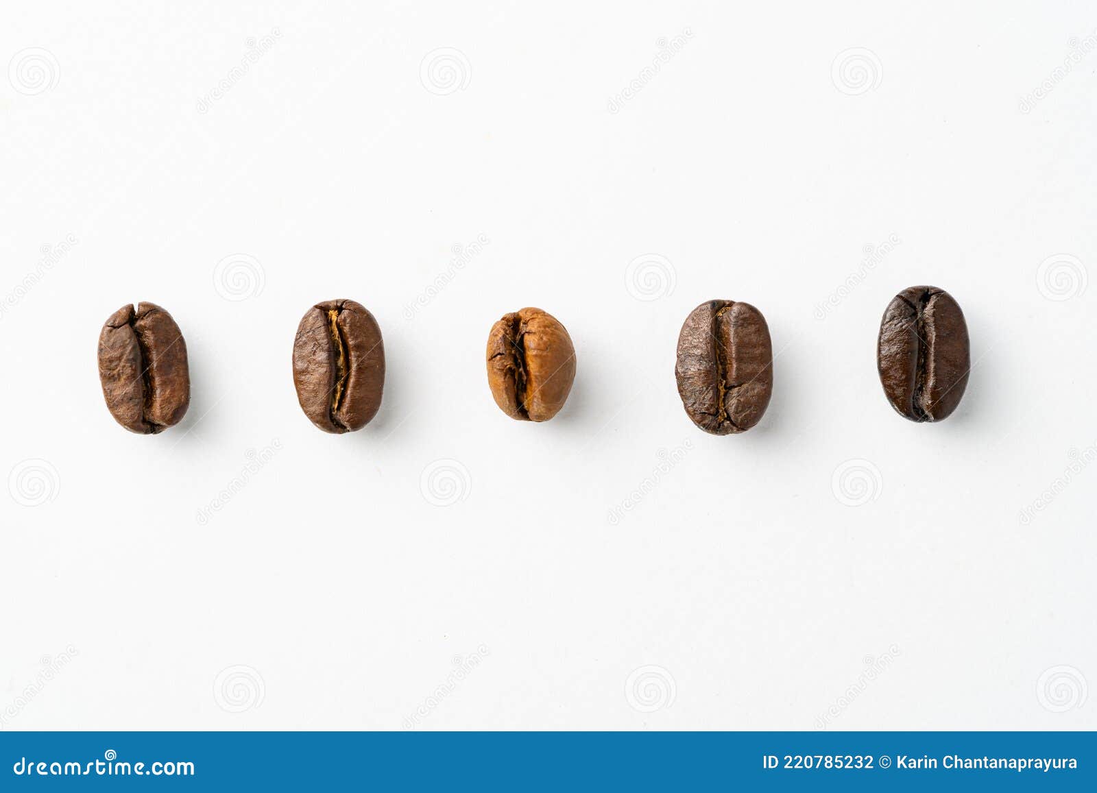 Coffee Bean Arabica And Robusta Stages Of Roasting Light Roast, Medium ...