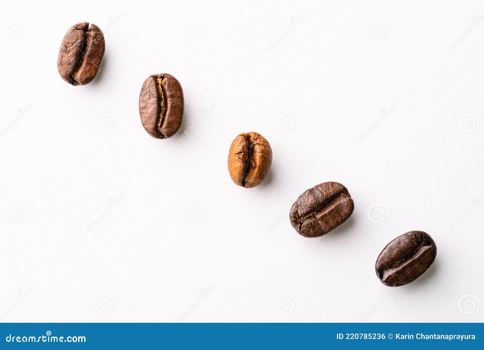 Coffee Bean Arabica and Robusta Stages of Roasting Light Roast, Medium ...