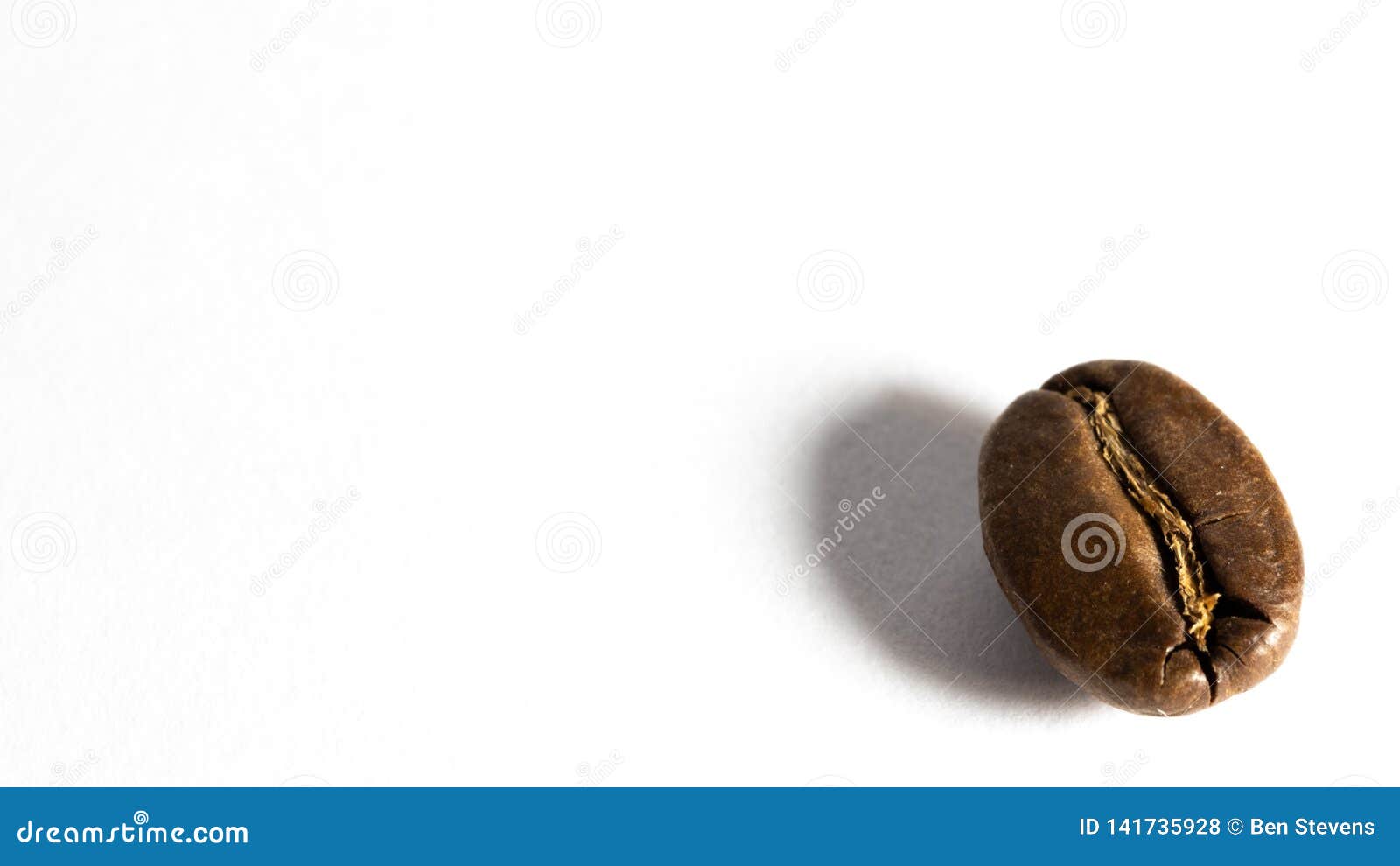 Coffee Bean at Bottom Right Larger on White Background Stock Photo ...