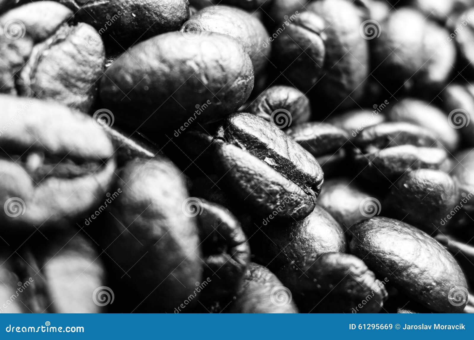 Coffee bean - caffeine stock image. Image of fruit, tasty - 61295669