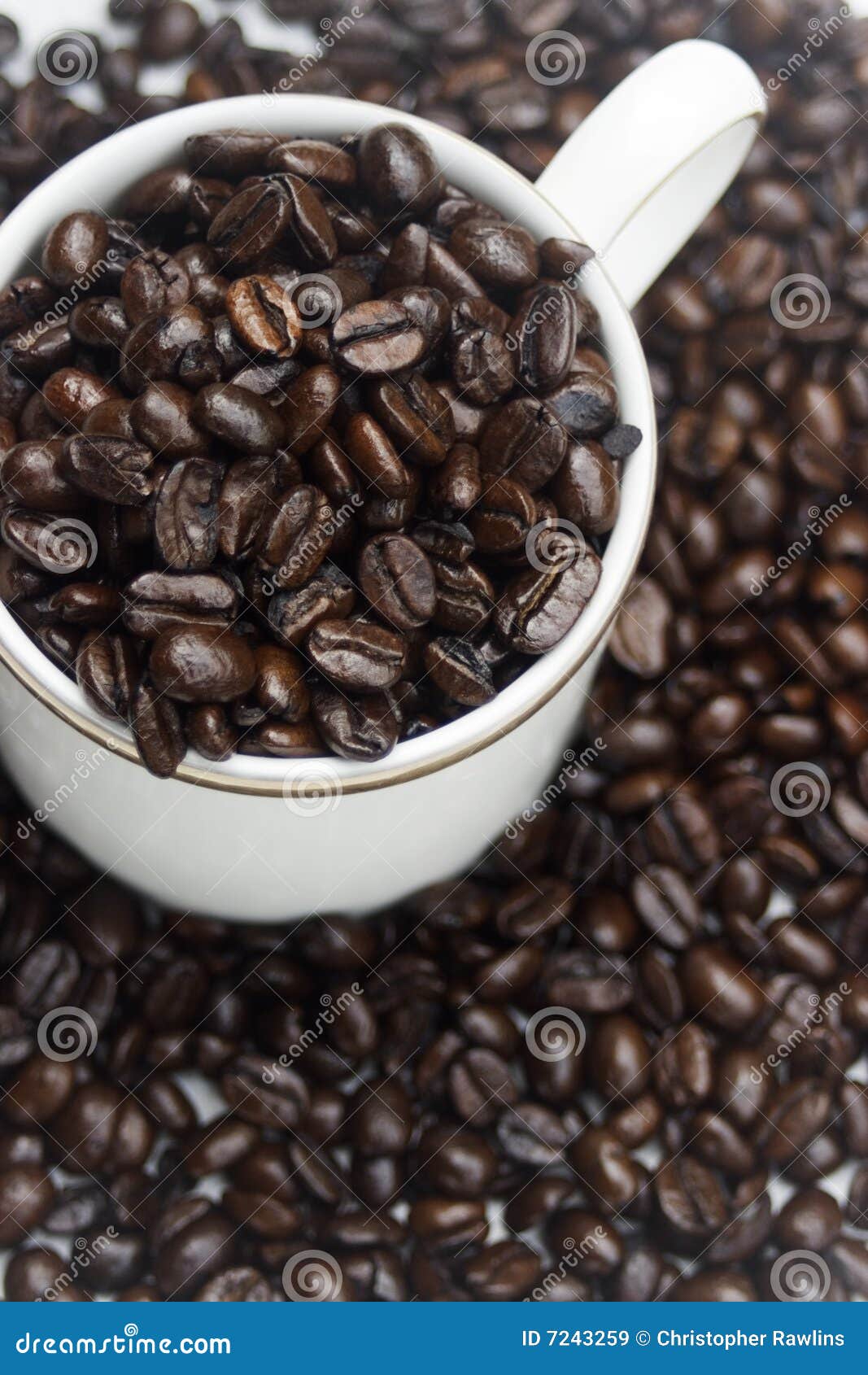 Coffee bean cup stock image. Image of farmers, arabica - 7243259