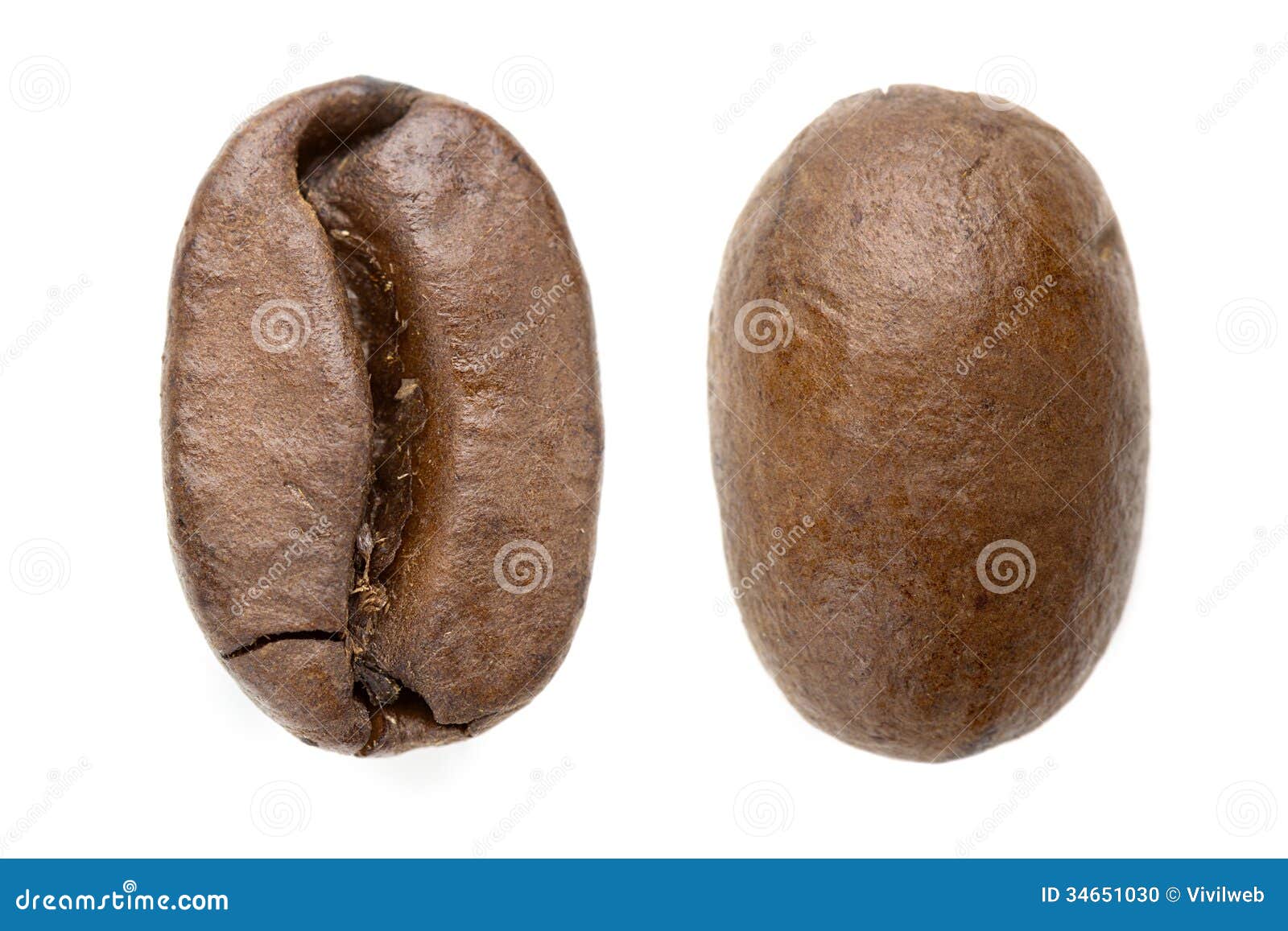 Coffee bean front and back stock photo. Image of breakfast - 34651030