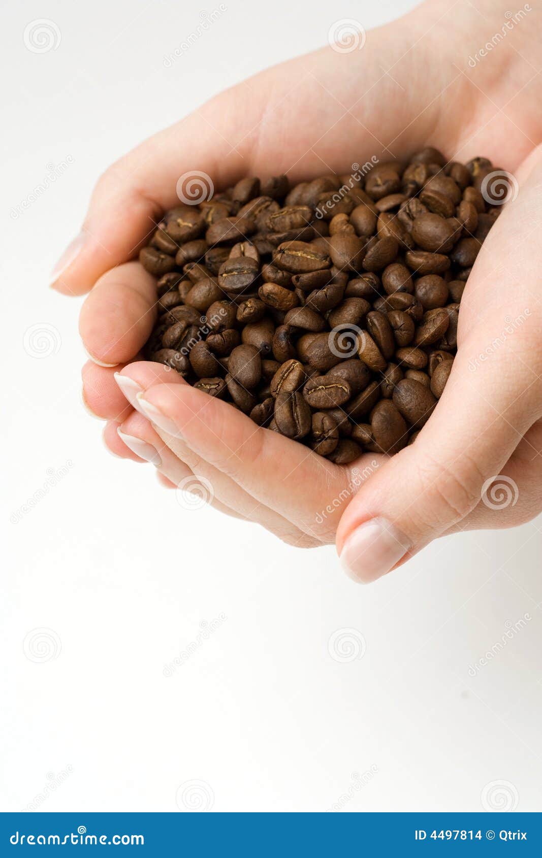 Coffee Bean in Human Hands. Stock Photo - Image of ingredient, hands ...