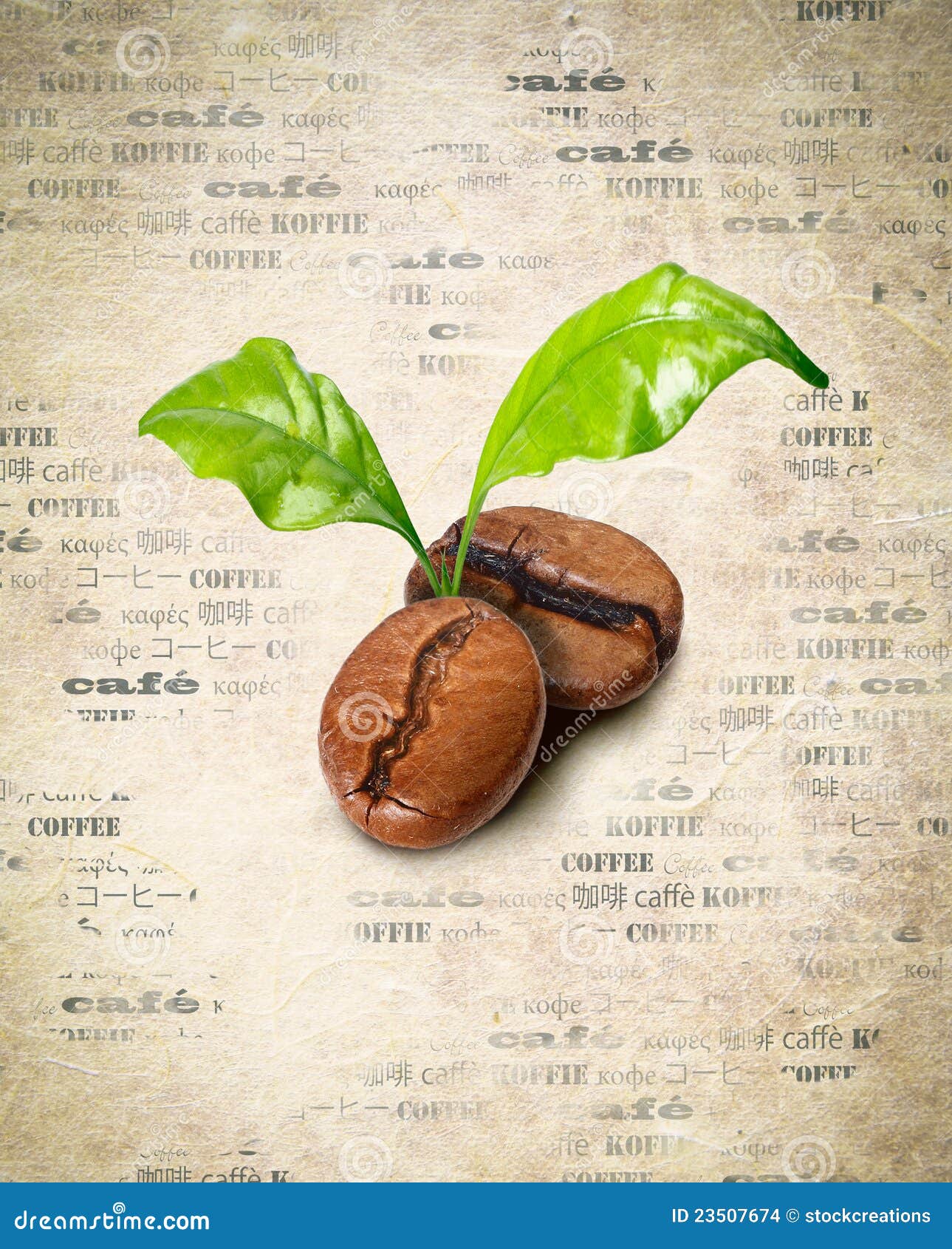 Coffee Bean and Leaf Collage Stock Photo - Image of natural, roast ...