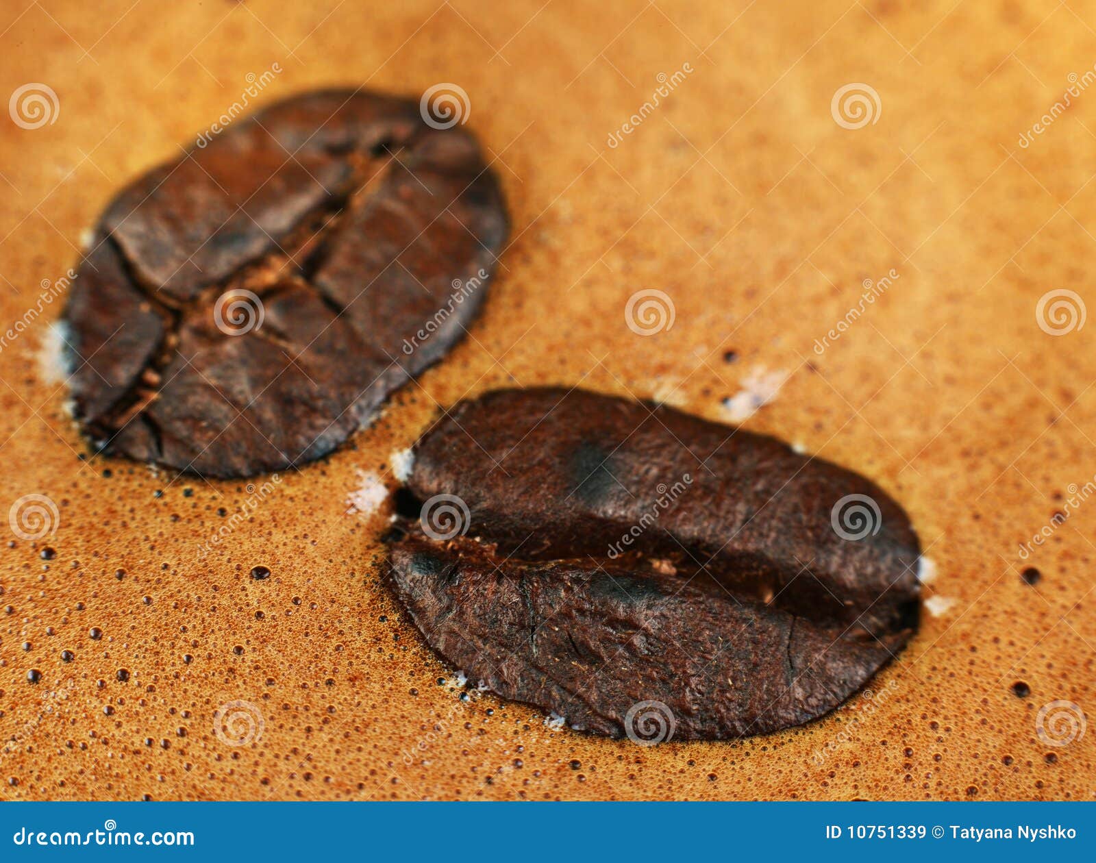 Coffee bean macro stock image. Image of bean, grain, drink - 10751339