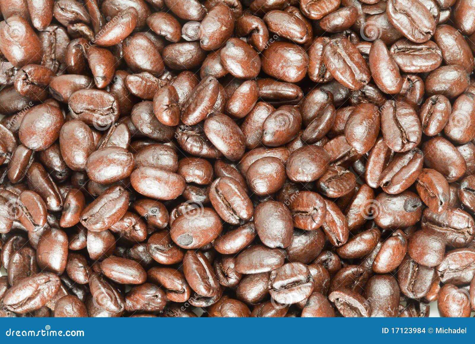 Coffee bean after roast stock photo. Image of cama, java - 17123984