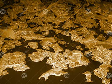 Coffee Bean, Scanning Electron Microscopy Stock Photo - Image of ...