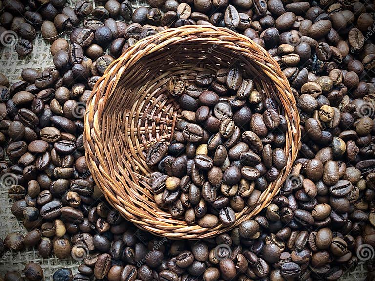 Coffee Beans Production Process Stock Image - Image of cloth, coffee ...