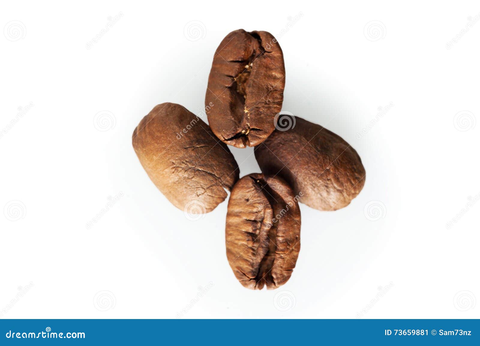 Coffee Bean with Sharp Shadow, Isolated Macro Stock Image - Image of ...