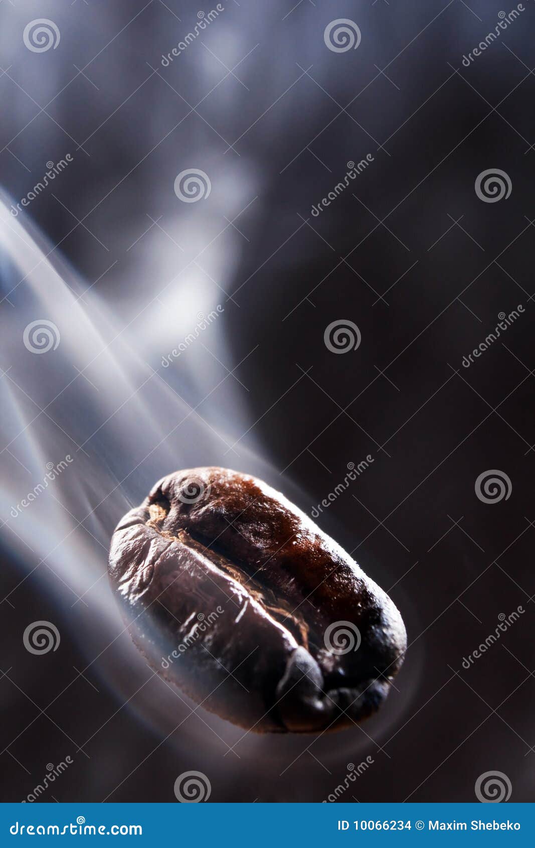 Coffee bean with smoke stock photo. Image of grind, porcelain - 10066234