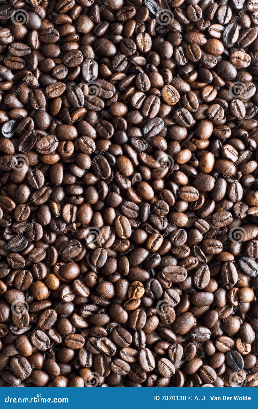 Coffee Bean Texture Picture. Image: 7870130