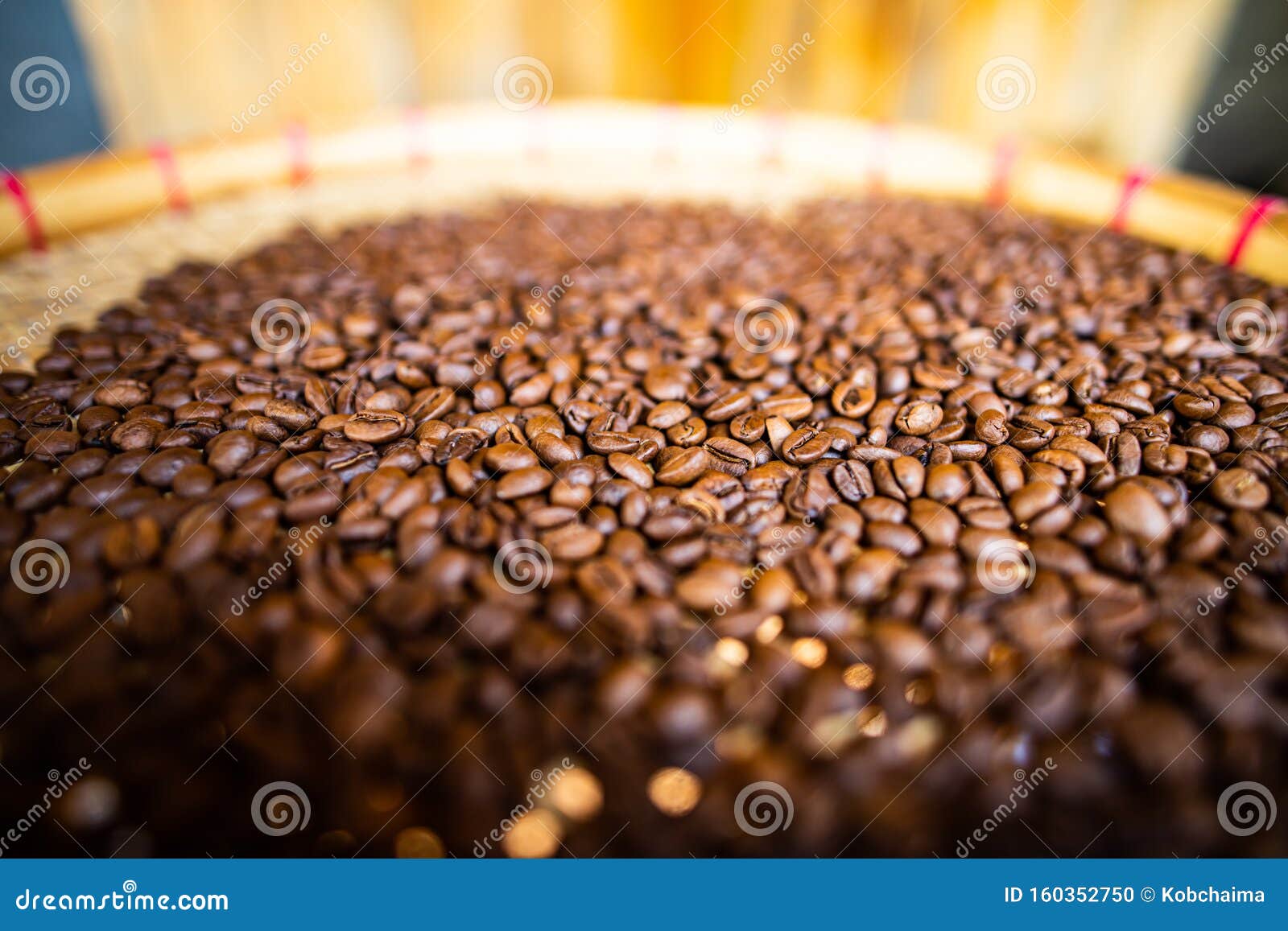 Coffee Bean in Threshing Basket Stock Photo - Image of food, energy ...