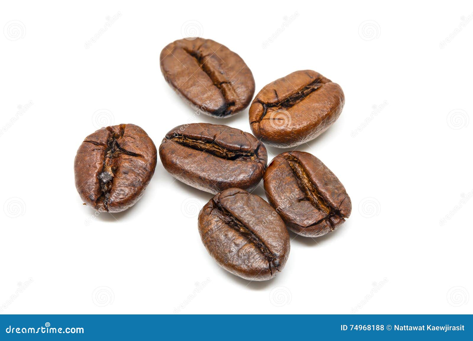 Coffee Bean White Background Stock Photo - Image of backdrop, coffee: 74968188