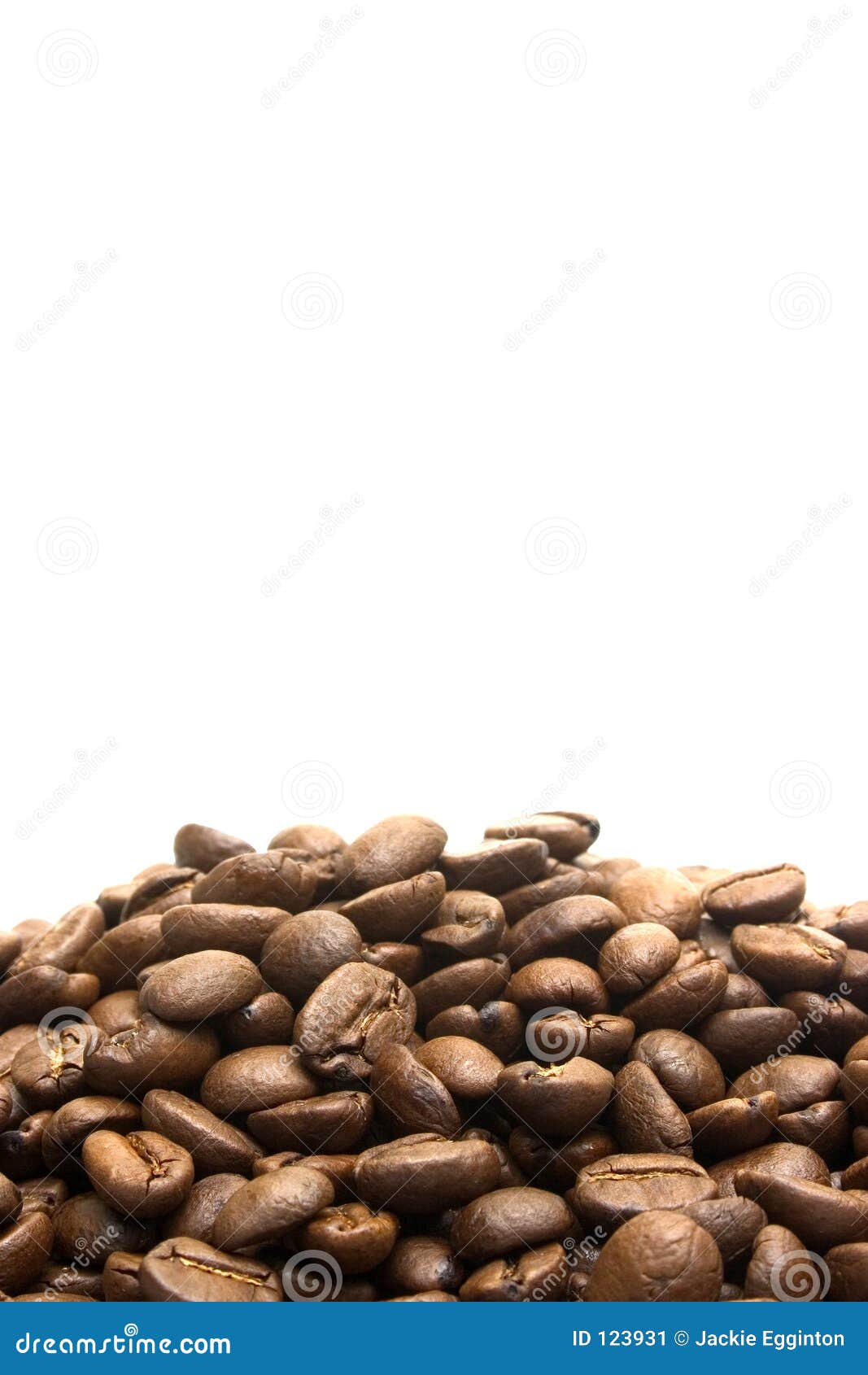 Coffee Beans(1) stock image. Image of beans, cafe, footer - 123931