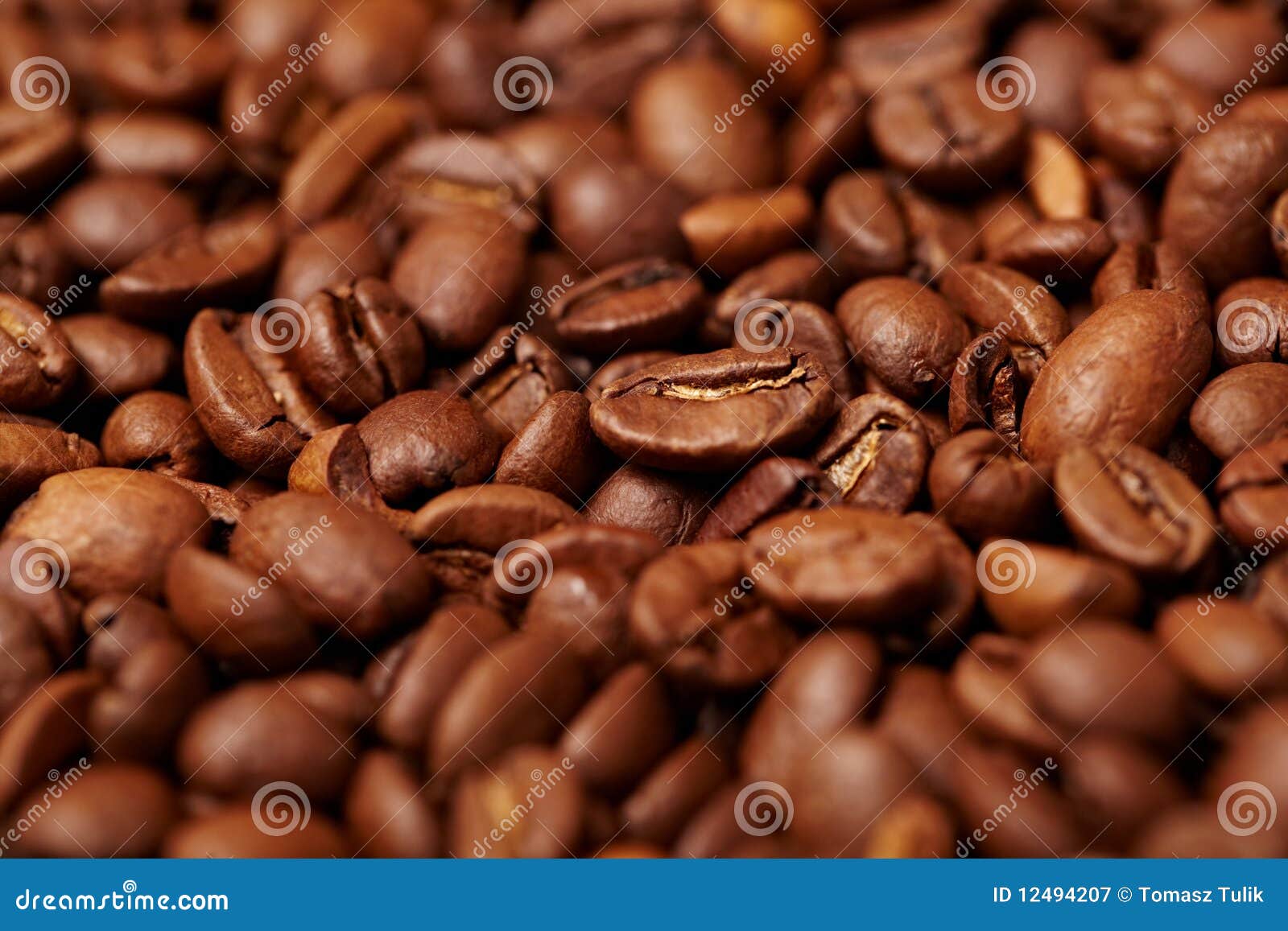 Coffee beans stock image. Image of gourmet, espresso - 12494207