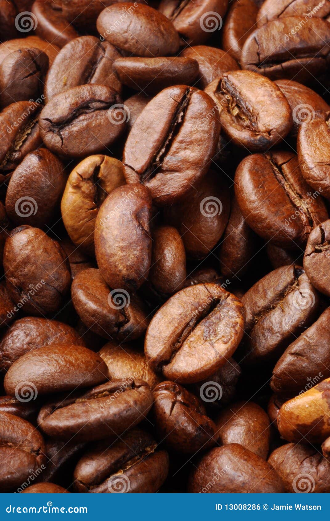 Coffee beans stock photo. Image of mountain, caffeine - 13008286