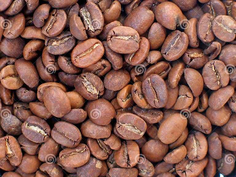 Coffee beans stock image. Image of coffee, food, grain - 187061
