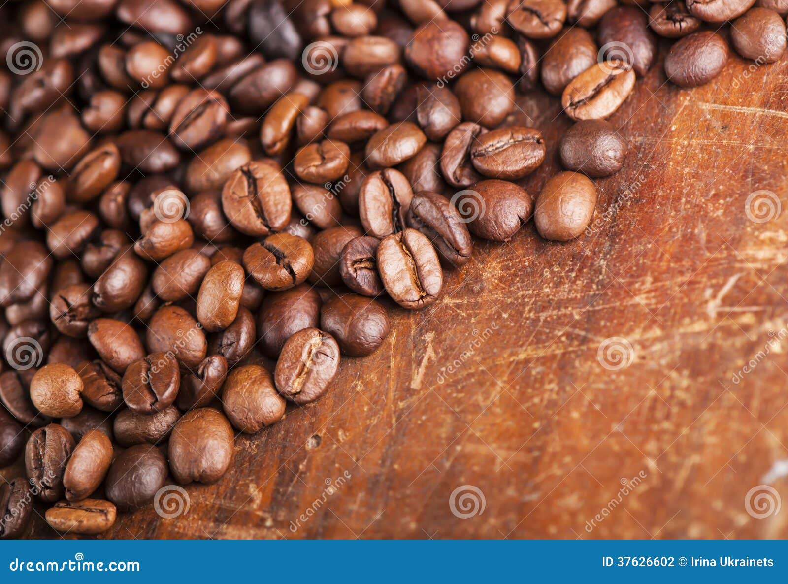 Coffee beans stock photo. Image of stain, natural, brew - 37626602