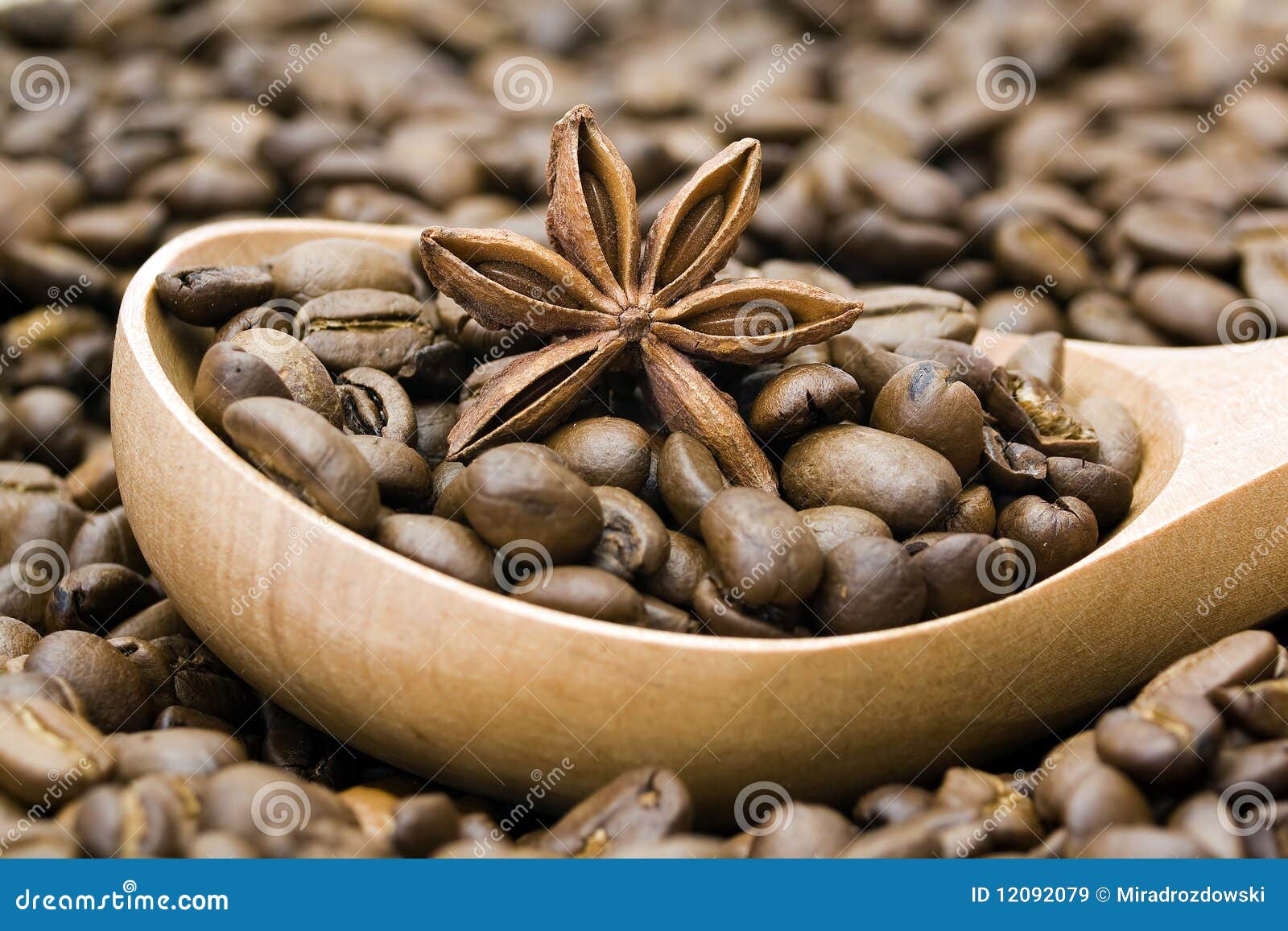 Coffee beans and anise stock image. Image of coffee, arabica - 12092079