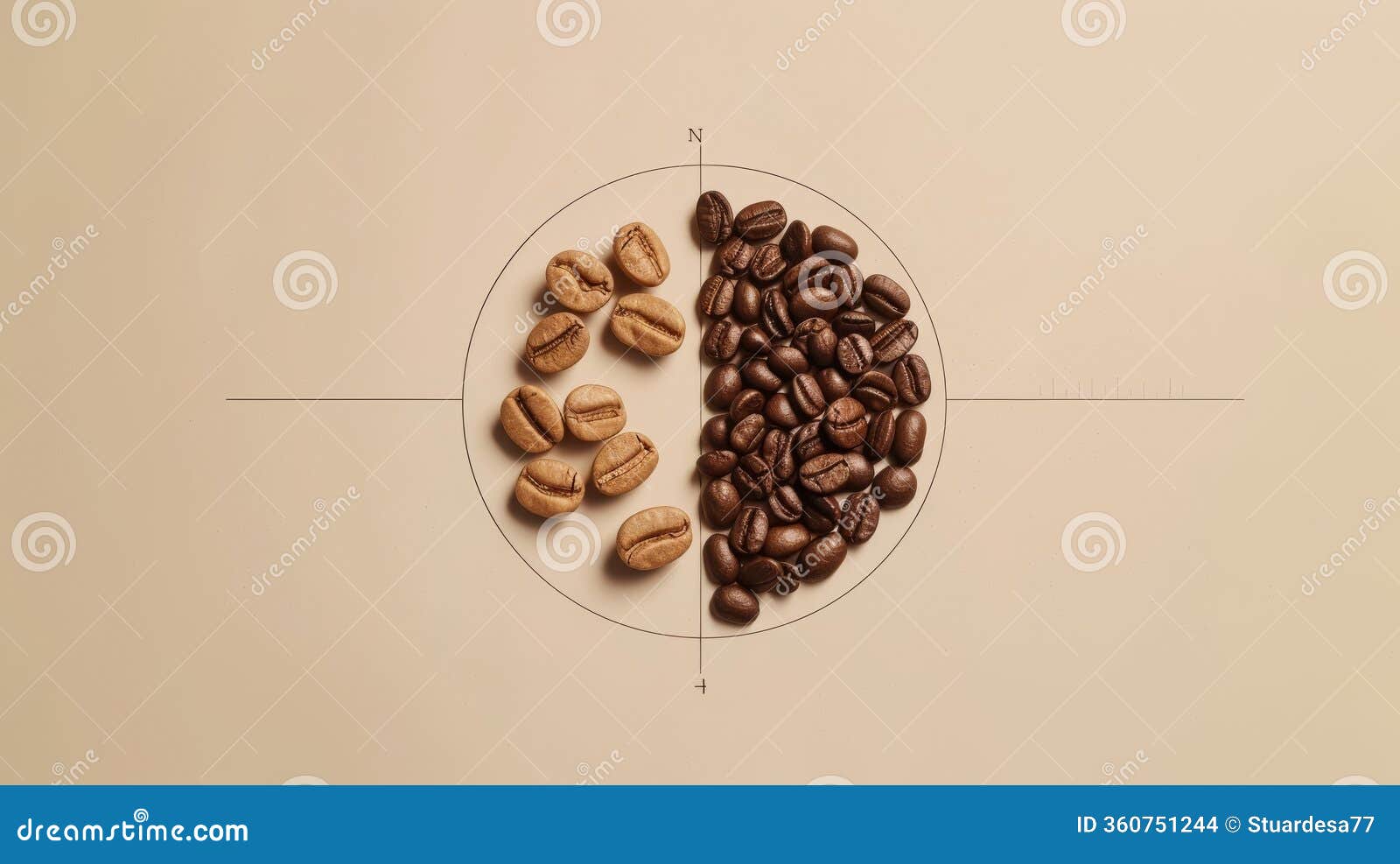 Scientific Diagram With Jurassic Foliage Cross-sections . Stock ...