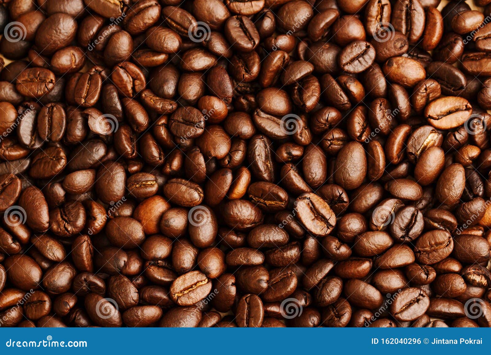 Close Up of Coffee Beans for Background Stock Photo - Image of coffee ...