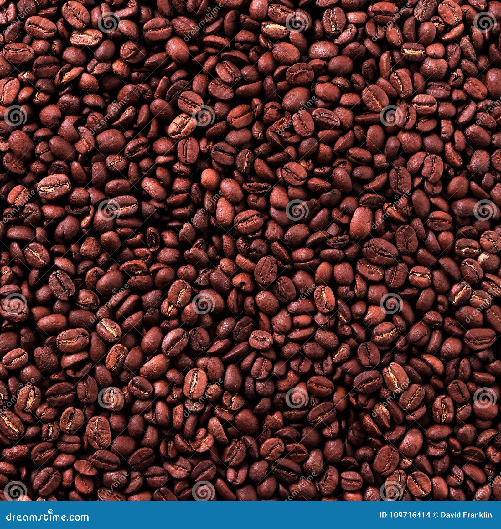 Coffee Bean Background Flat Lay Square Stock Photo - Image of ...