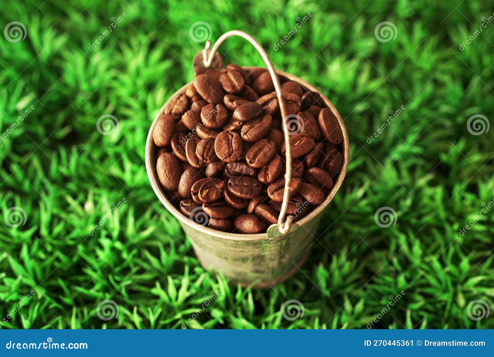 Coffee Beans Background, Organic Organic Coffee Seed Stock Image ...