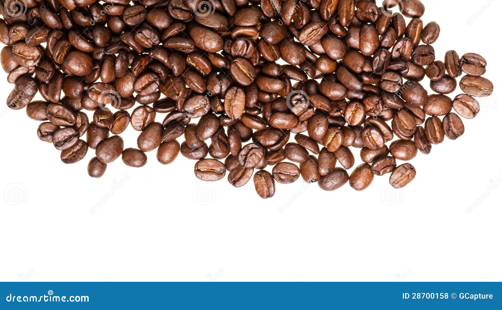Coffee beans border stock photo. Image of seed, horizontal - 28700158