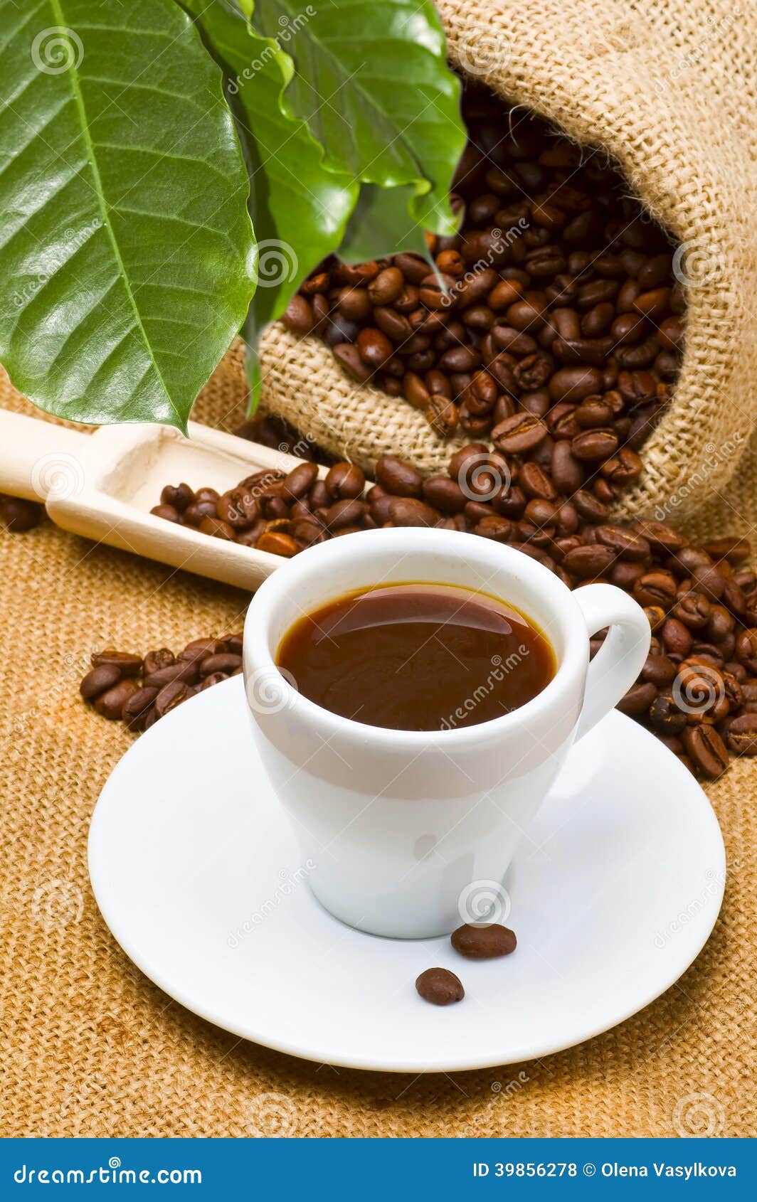 Coffee Beans and Cap of Coffee Stock Photo - Image of dark, caffeine ...